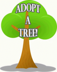 Adopt-a-tree – Woodlands Conservancy