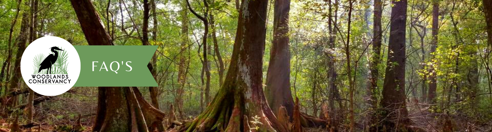 FAQs – Woodlands Conservancy