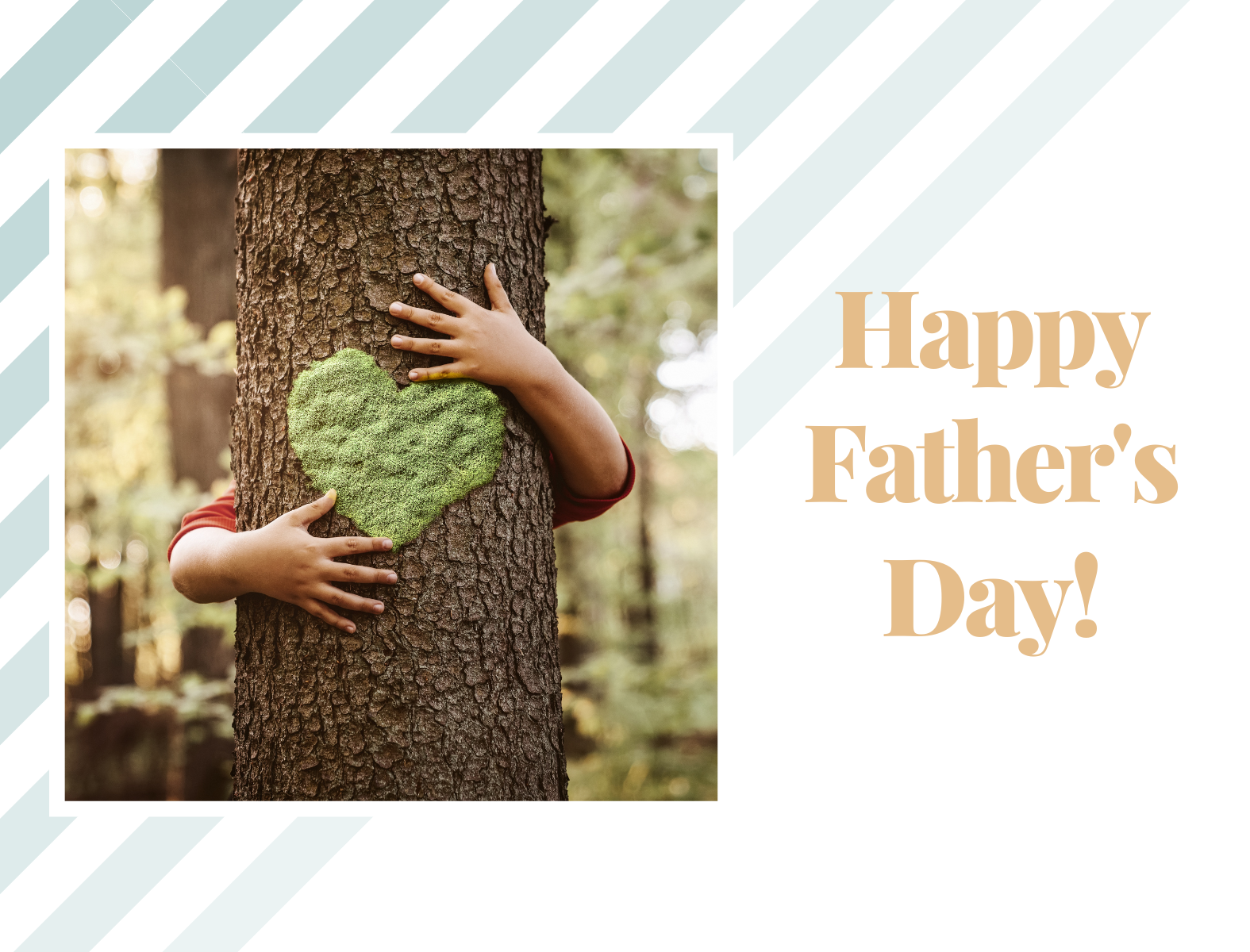 Cards that Plant Trees – Woodlands Conservancy